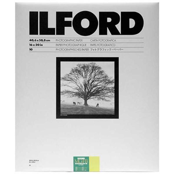【発売日：2021年01月01日】ILFORD イルフォード テレビ オーディオ カメラ 望遠鏡 光学機器 光学機器アクセサリー 印画紙　kojima　コジマヤフー　コジマ電気