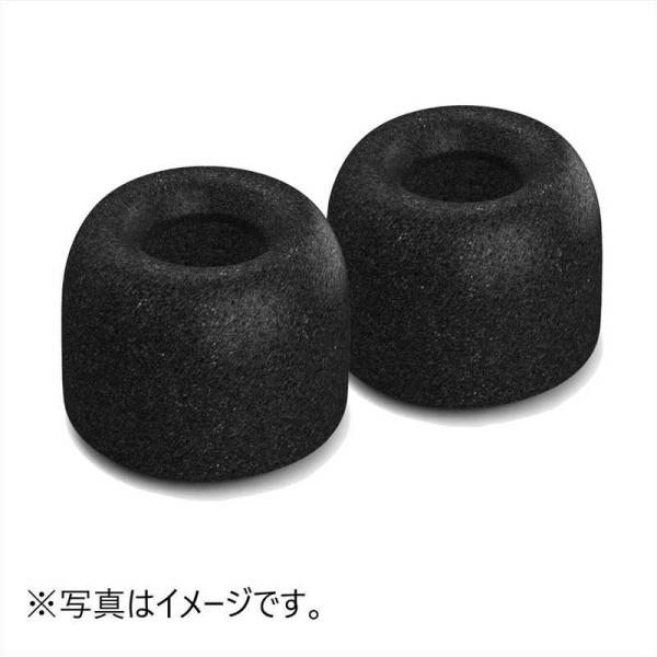 【発売日：2022年10月21日】イヤーピース イヤホン用イヤーピース イヤーチップ TWR200BBLKL1P TWR200BBLKL1 TWR200BBLKL コジマ コジマ電気 家電