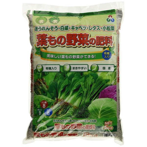 【発売日：2025年04月28日】