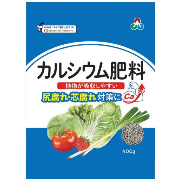 【発売日：2025年04月28日】