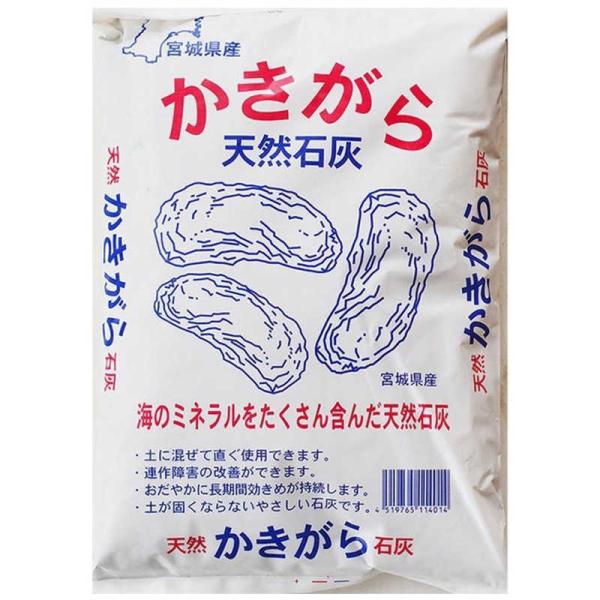 【発売日：2026年03月02日】