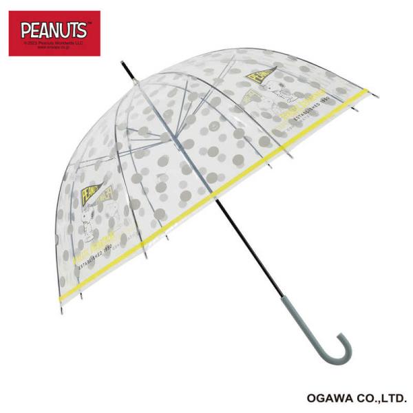 【発売日：2024年02月07日】コジマ kojima コジマヤフー コジマ電気