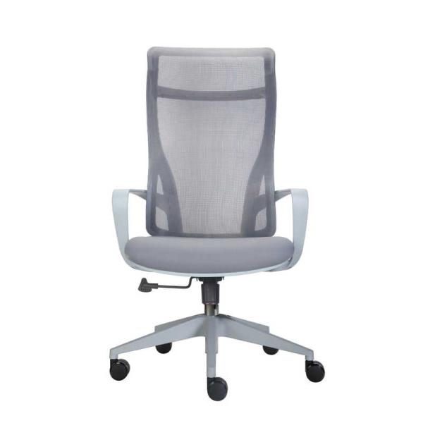 【発売日：2024年02月14日】