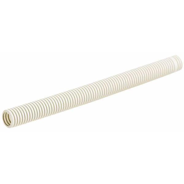 【発売日：2020年12月27日】kojima　コジマヤフー　コジマ電気