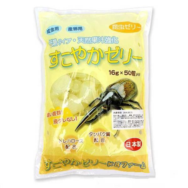 【発売日：2025年11月25日】