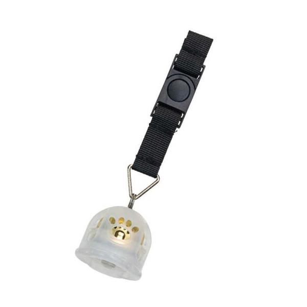 【発売日：2025年01月21日】