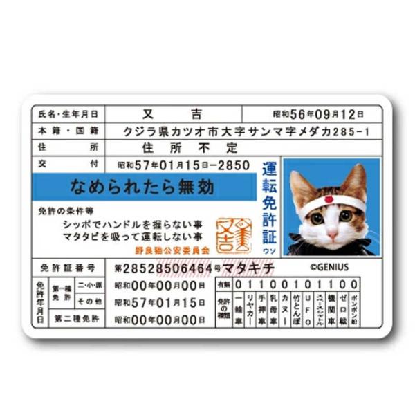 【発売日：2024年09月07日】携帯電話アクセサリー スマホアクセサリー kojima　コジマヤフー　コジマ電気