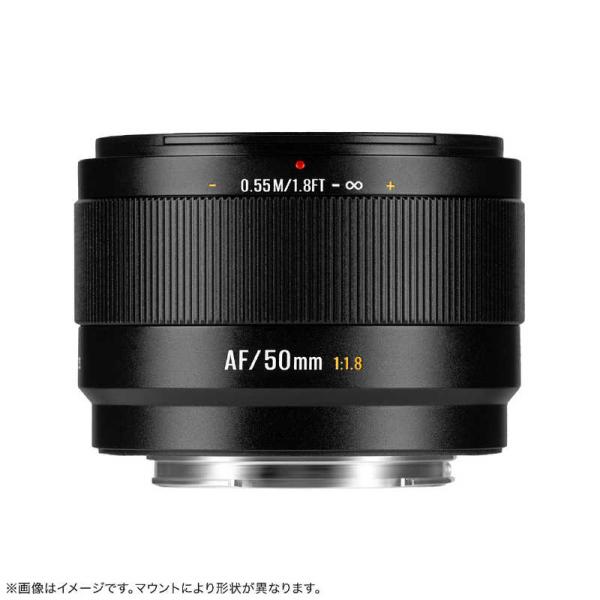 【発売日：2026年02月18日】