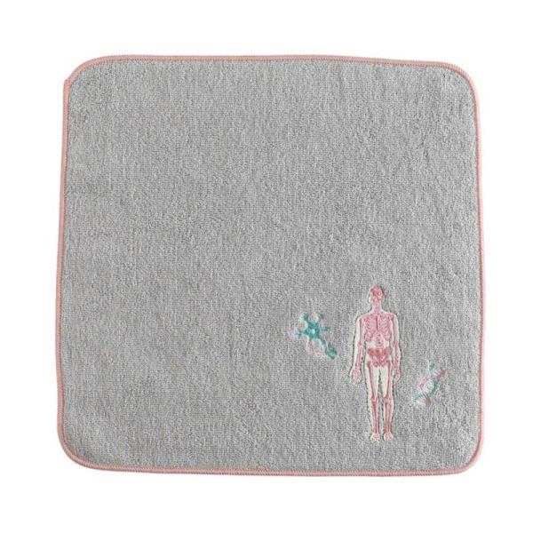 【発売日：2025年10月21日】タオル kojima コジマ