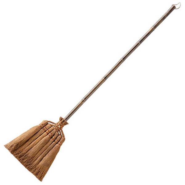 【発売日：2024年05月25日】コジマ kojima コジマヤフー コジマ電気