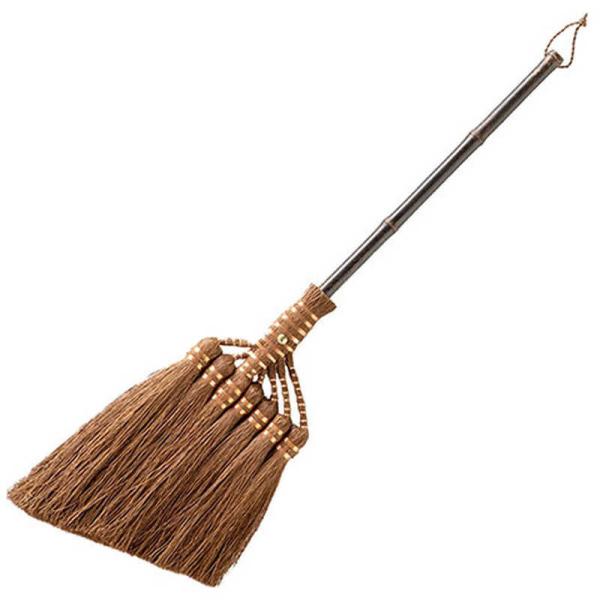 【発売日：2024年05月25日】コジマ kojima コジマヤフー コジマ電気