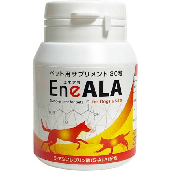 【発売日：2023年01月01日】ペット用品 生き物 その他ペット用品 生き物　kojima　コジマヤフー　コジマ電気