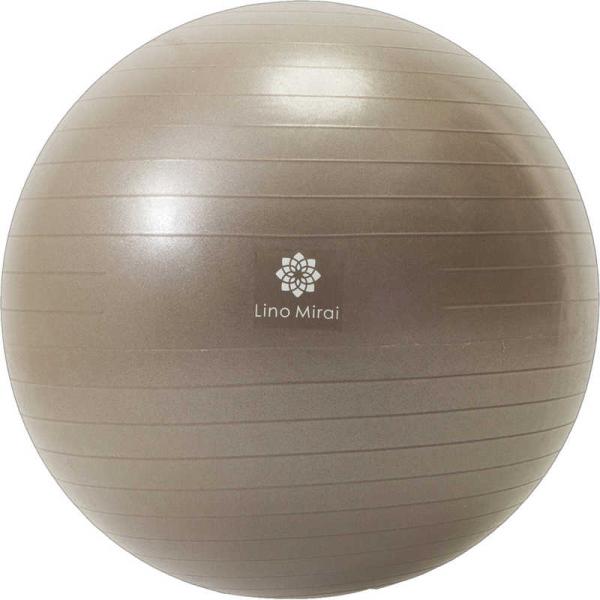 【発売日：2024年02月01日】スポーツ フィットネス トレーニング エクササイズグッズ バランスクッション　kojima　コジマヤフー　コジマ電気