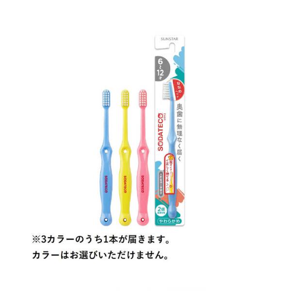 【発売日：2025年09月24日】歯ブラシ デンタルケア kojima コジマ