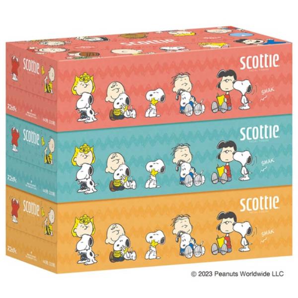 【発売日：2023年11月02日】衛生日用品 ティッシュペーパー ポケットティッシュ　kojima　コジマヤフー　コジマ電気