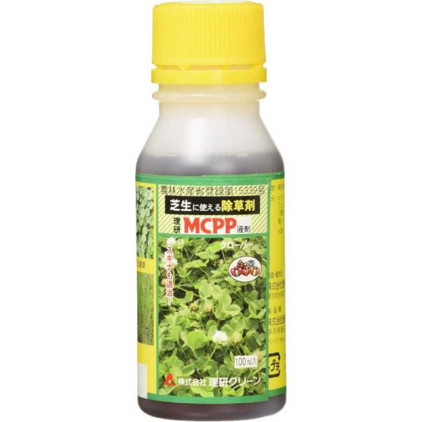 【発売日：2026年03月02日】