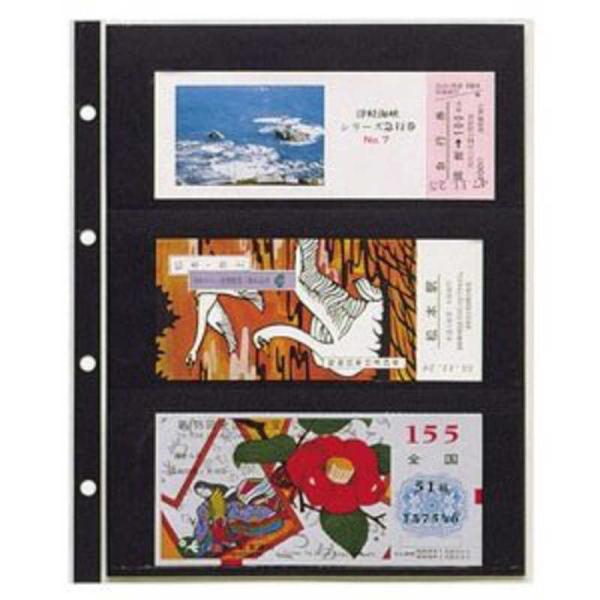 【発売日：2019年07月30日】テージー ファイル用品　kojima　コジマヤフー　コジマ電気