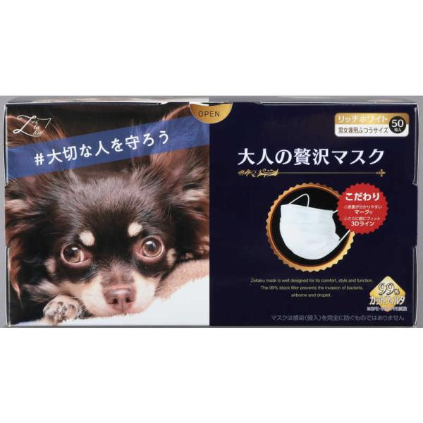 【発売日：2022年11月21日】マスク 使い捨てマスク 花粉症 花粉症用 花粉症対策 感染症対策 風邪 予防 コジマ コジマ電気 家電