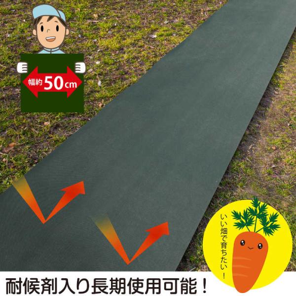 【発売日：2023年10月31日】