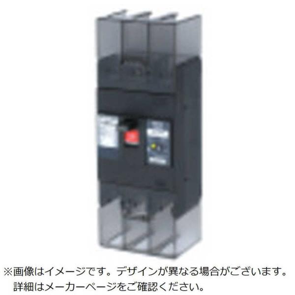 【発売日：2024年06月19日】DIY 工具 材料 資材 電設資材 漏電遮断器 テンパール工業 Tempearl コジマ コジマ電気 家電