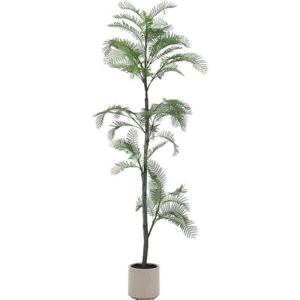 【発売日：2026年03月13日】