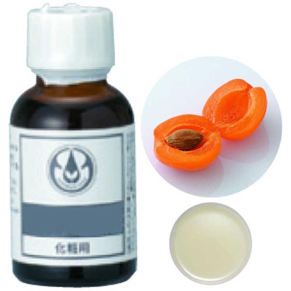 【発売日：2020年04月28日】生活の木 理美容関連　kojima　コジマヤフー