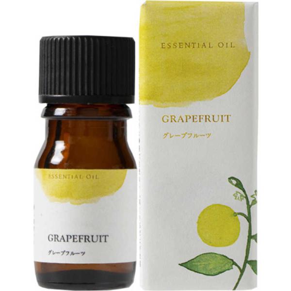 【発売日：2016年10月01日】生活の木 理美容関連　kojima　コジマヤフー