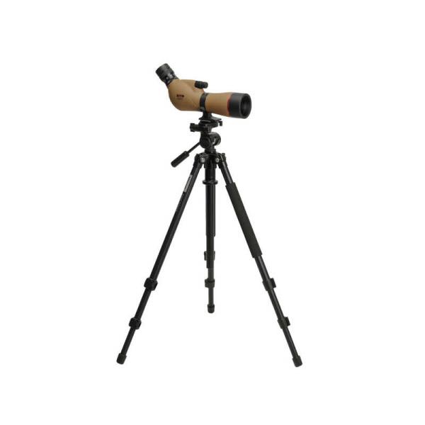 【発売日：2025年07月10日】