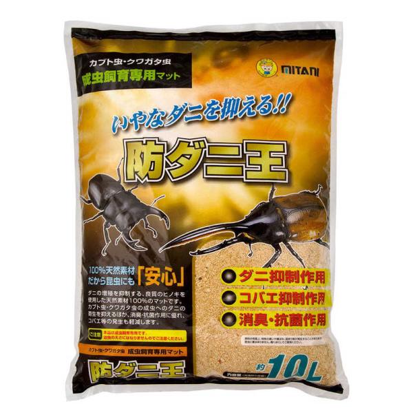 【発売日：2025年11月25日】