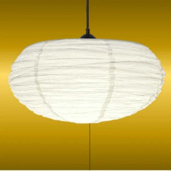 【発売日：2023年06月28日】家具 インテリア 照明 電球 シーリングライト 天井照明 ペンダントライト コジマ kojima コジマヤフー コジマ電気