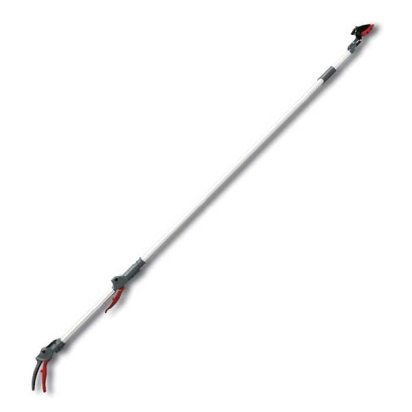 【発売日：2018年02月01日】