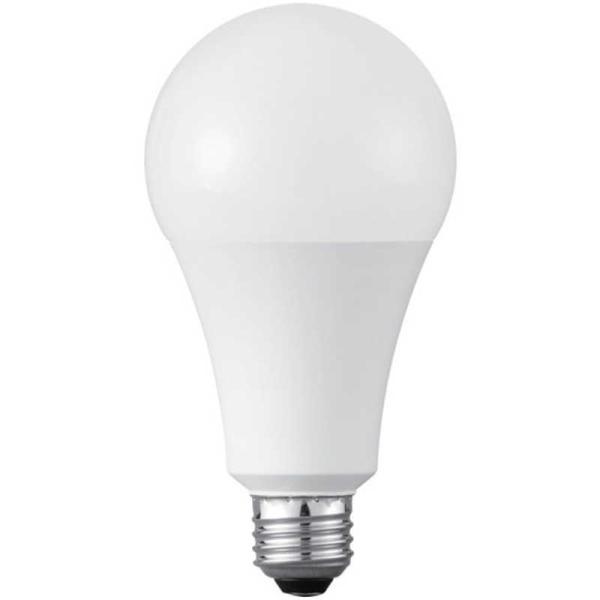 【発売日：2024年06月20日】コジマ kojima コジマヤフー コジマ電気