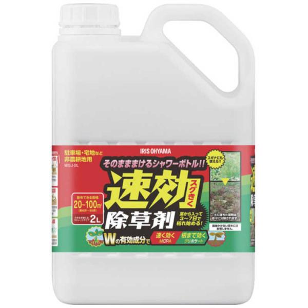 【発売日：2025年10月23日】