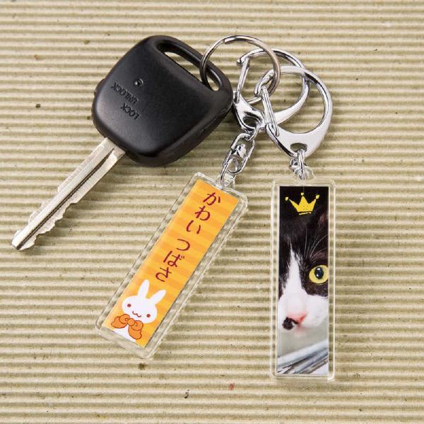 【発売日：2010年05月14日】プリンター用紙 印刷用紙 用紙 紙 kojima　コジマヤフー　コジマ電気