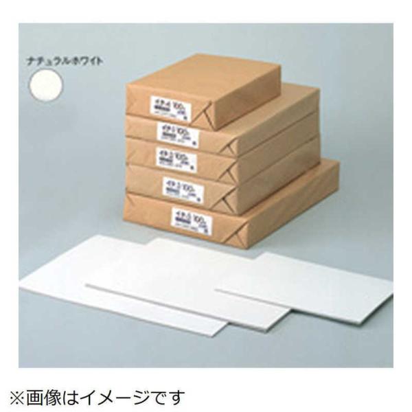 【発売日：2019年12月12日】アピカ 用紙関連　kojima　コジマヤフー　コジマ電気