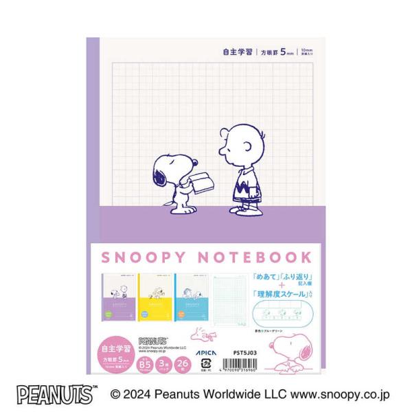 【発売日：2025年01月29日】