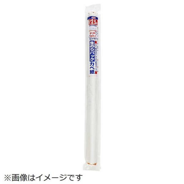 【発売日：2024年06月07日】アサヒペン Asahipen コジマ コジマ電気 家電