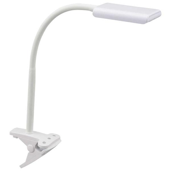 【発売日：2019年12月30日】kojima　コジマヤフー　コジマ電気