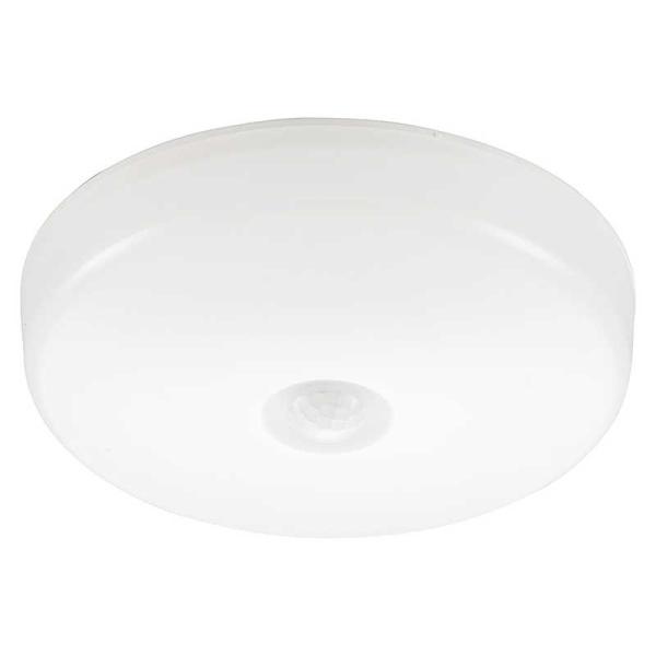 【発売日：2023年11月24日】シーリングライト 照明器具 ライト 一人暮らし ワンルーム 1ルーム LED照明 LEY7RBWD コジマ コジマ電気 家電