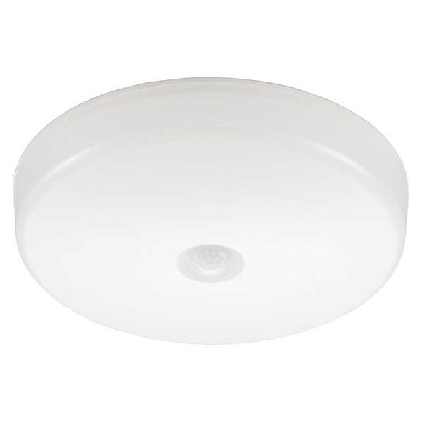 【発売日：2023年11月24日】シーリングライト 照明器具 ライト 一人暮らし ワンルーム 1ルーム LED照明 LEY13RBWD コジマ コジマ電気 家電