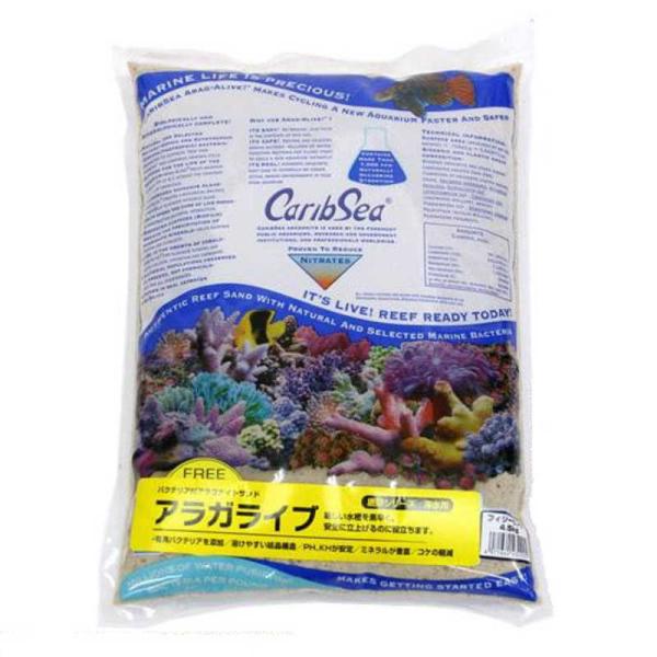 【発売日：2025年11月05日】