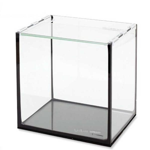 【発売日：2025年11月13日】