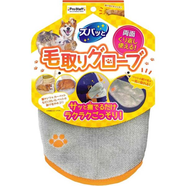 【発売日：2024年03月05日】ペット用品 生き物 その他ペット用品 生き物　kojima　コジマヤフー　コジマ電気