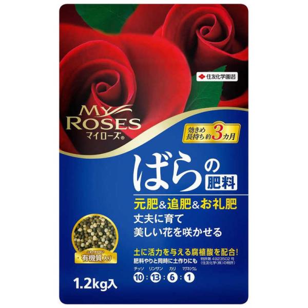 【発売日：2025年03月01日】園芸工具 工具用品 工具 DIY  コジマ コジマ電気 家電