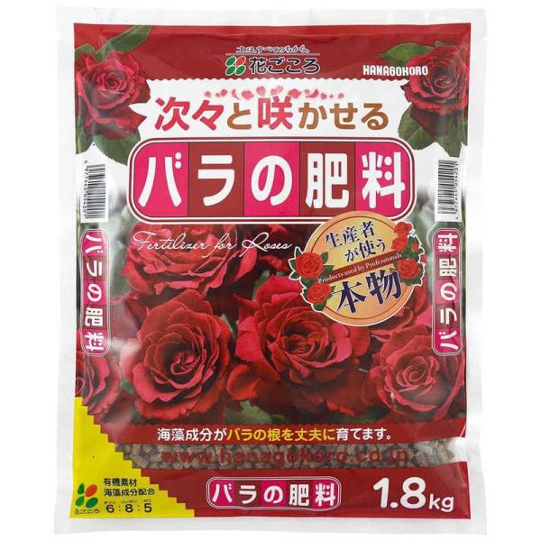 【発売日：2025年04月28日】