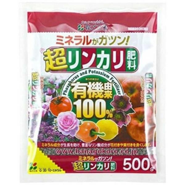 【発売日：2025年04月28日】