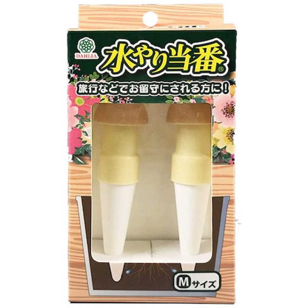 【発売日：2023年04月02日】