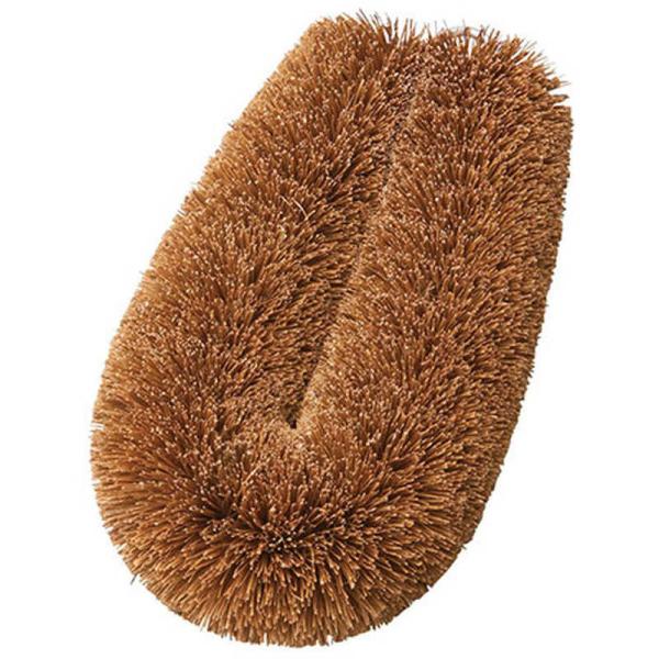 【発売日：2026年02月16日】