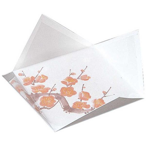 【発売日：2026年02月17日】