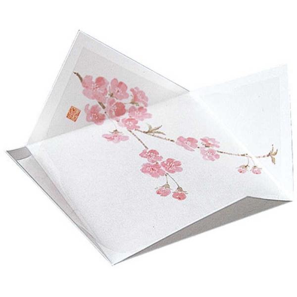 【発売日：2026年02月17日】